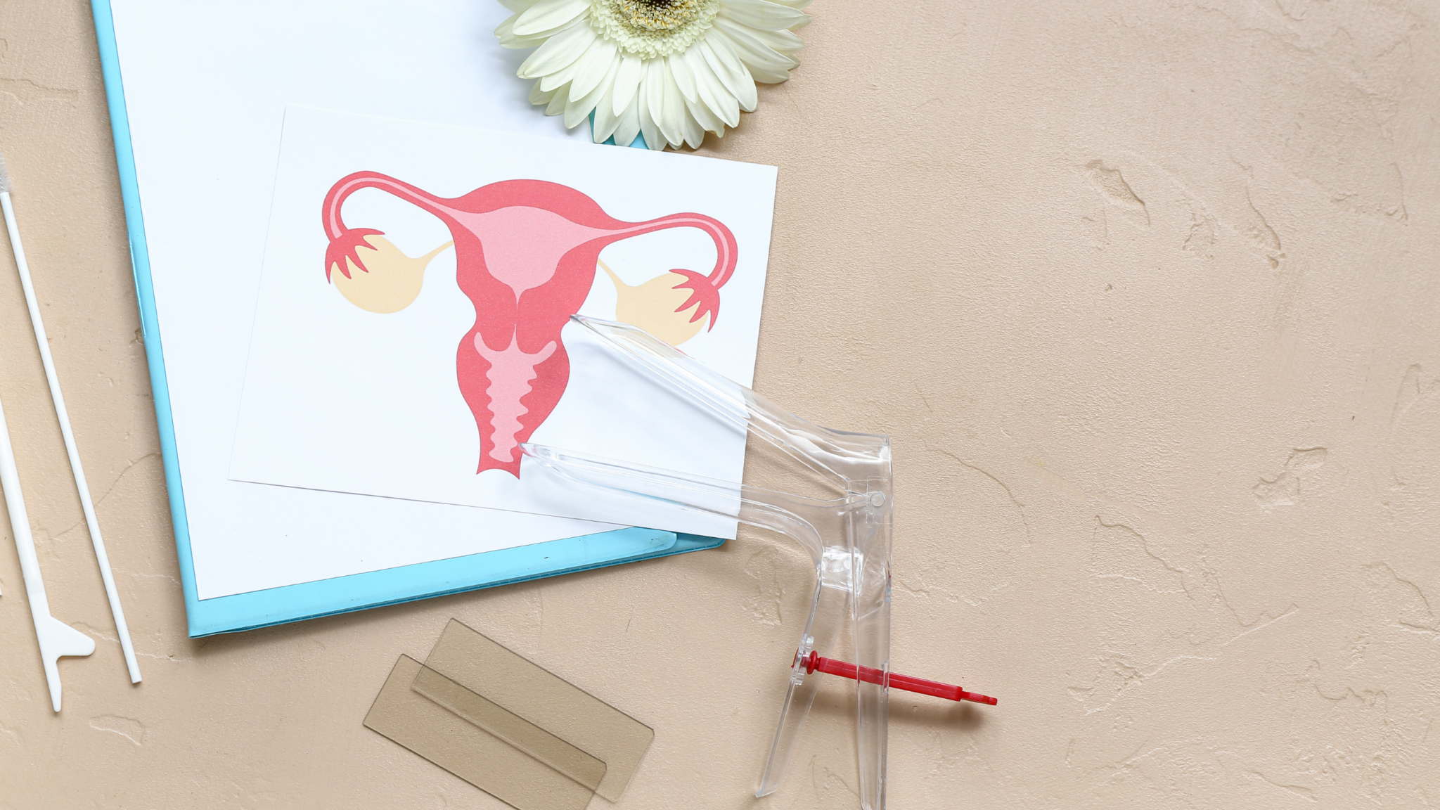 Memahami Perbedaan Tes Pap Smear dan Tes HPV DNA untuk Deteksi Kanker ...